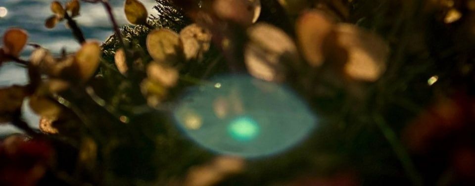 Заработать на мечту.