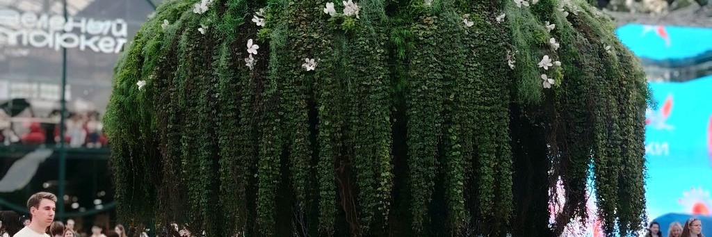 Шахтер, Докопала До Москвы!