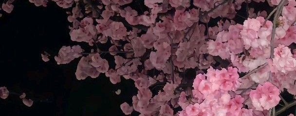 🍉Пузик_Арбузик🍉