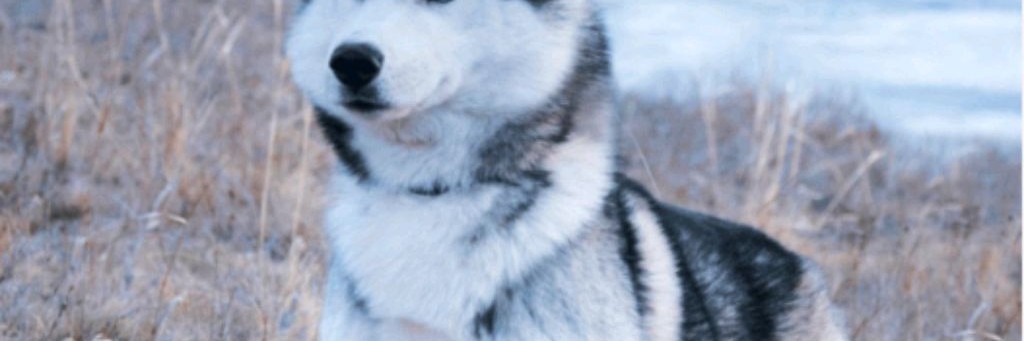 Сландырина