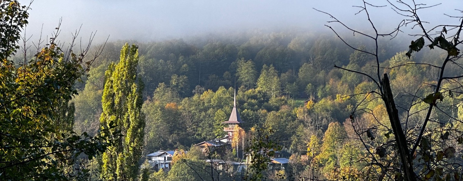 Дружина Центр развития