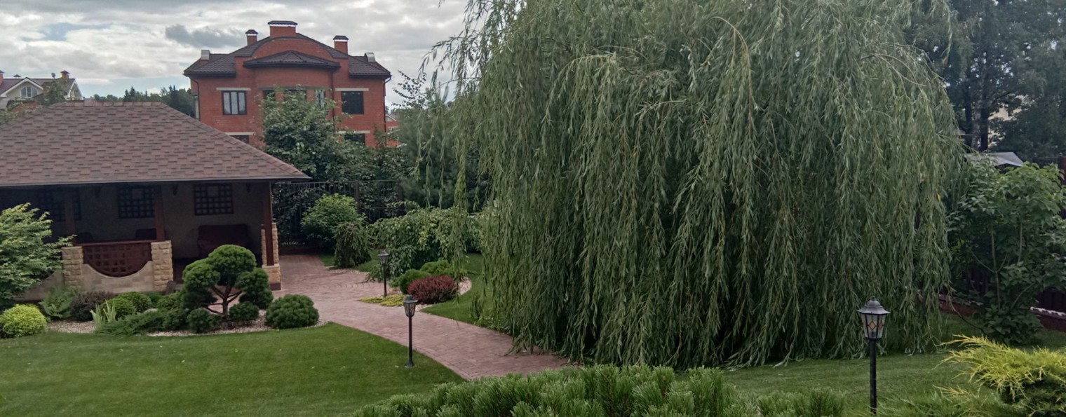 Садовые манеры.