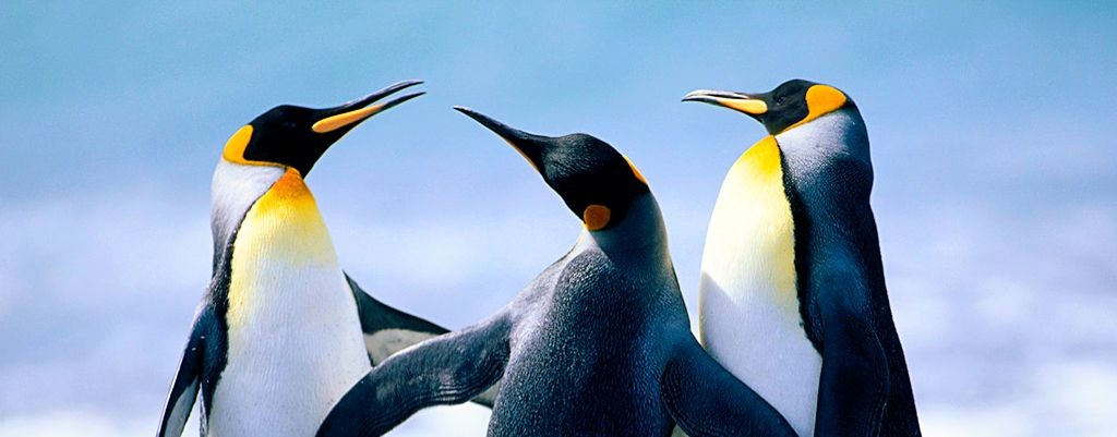 Млечный путь