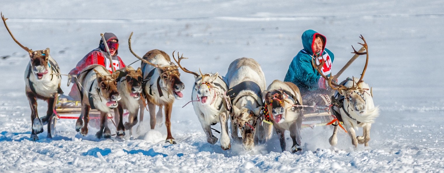 Север без границ