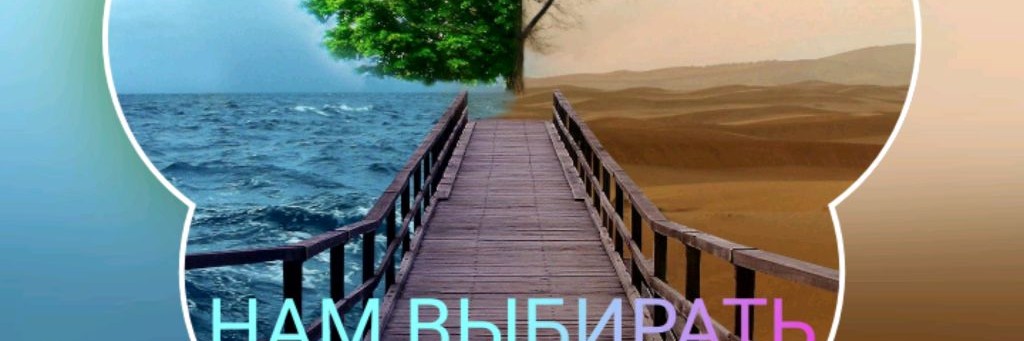 НАМ ВЫБИРАТЬ