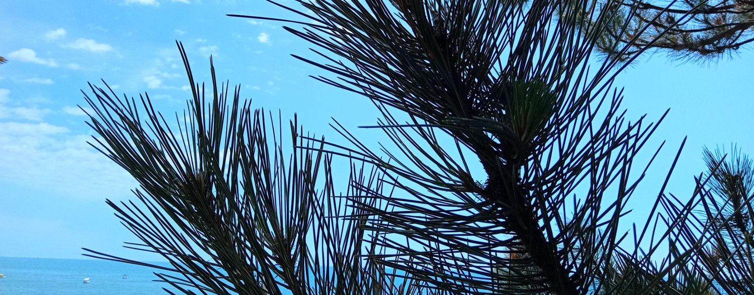 Мои Путешествия (Vyacheslav Sketch)