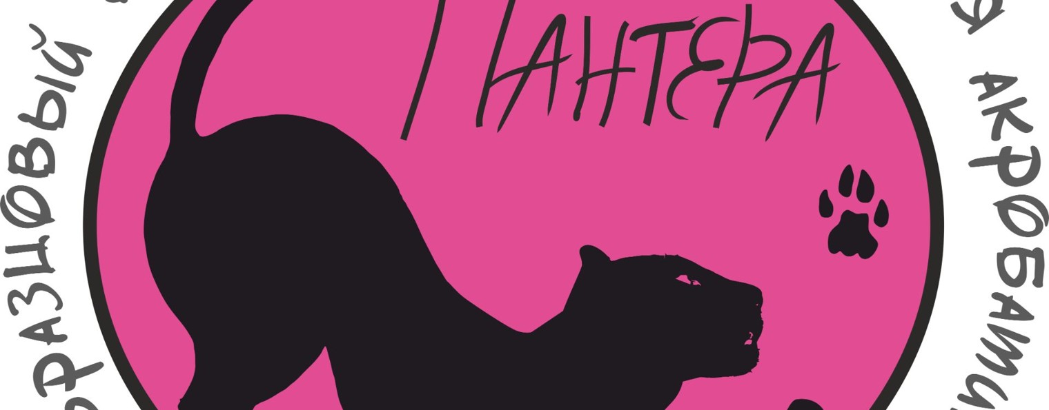 Студия акробатики "Пантера"