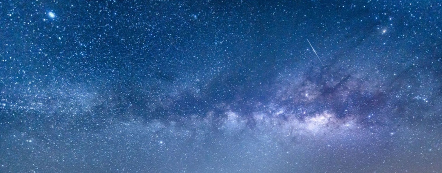 Светлана Дедяева