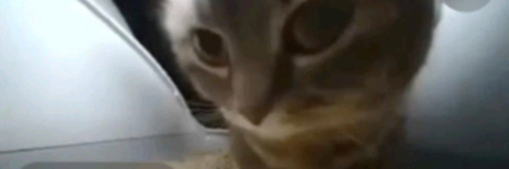 Алый Броненосец