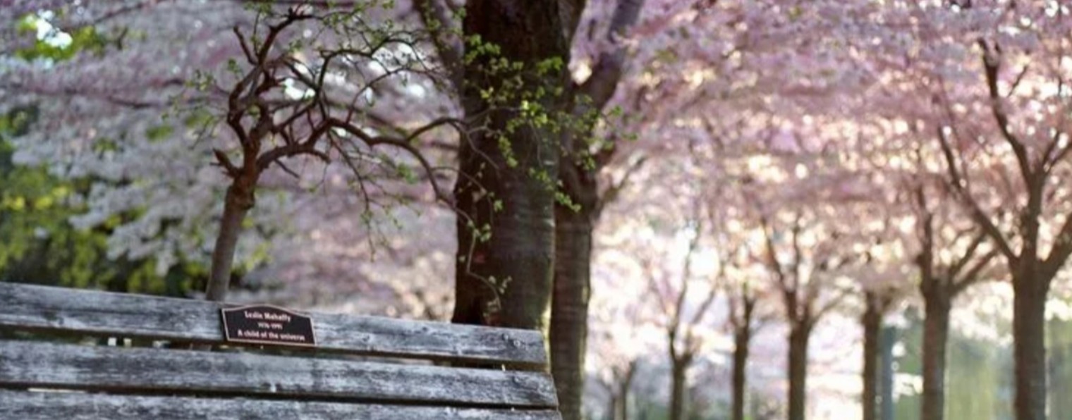 🤍~❕Lisa_family_vlogs❕~🌿