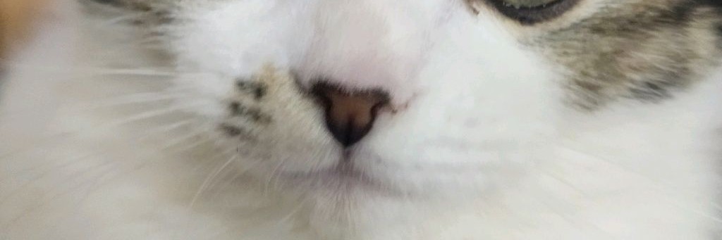 Mark Golub 666 30848