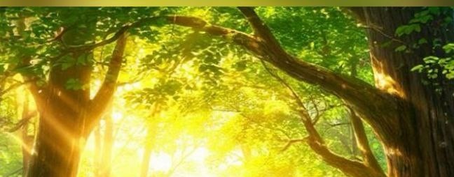 АЛХИМИЯ ТАРО