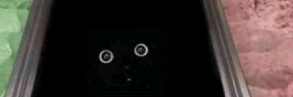 ⋆˚𝜗ⲕυⲧⲧυ 𝜚˚⋆