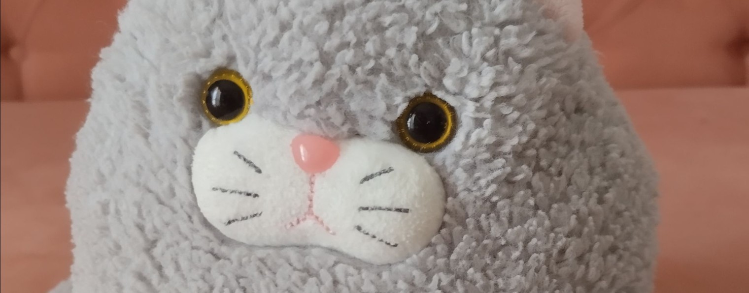 🍥💦≈[💖×𝕜𝕒𝕡𝕖𝕝𝕜𝕒 𝕔𝕒𝕥 𝕡𝕝𝕒𝕪×🎮]≈💜🍥