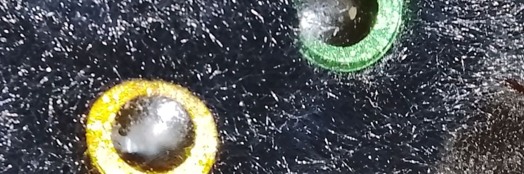 Рома-название Лайка Дима