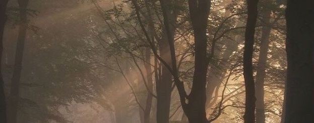 Охота. Вино. Кухня