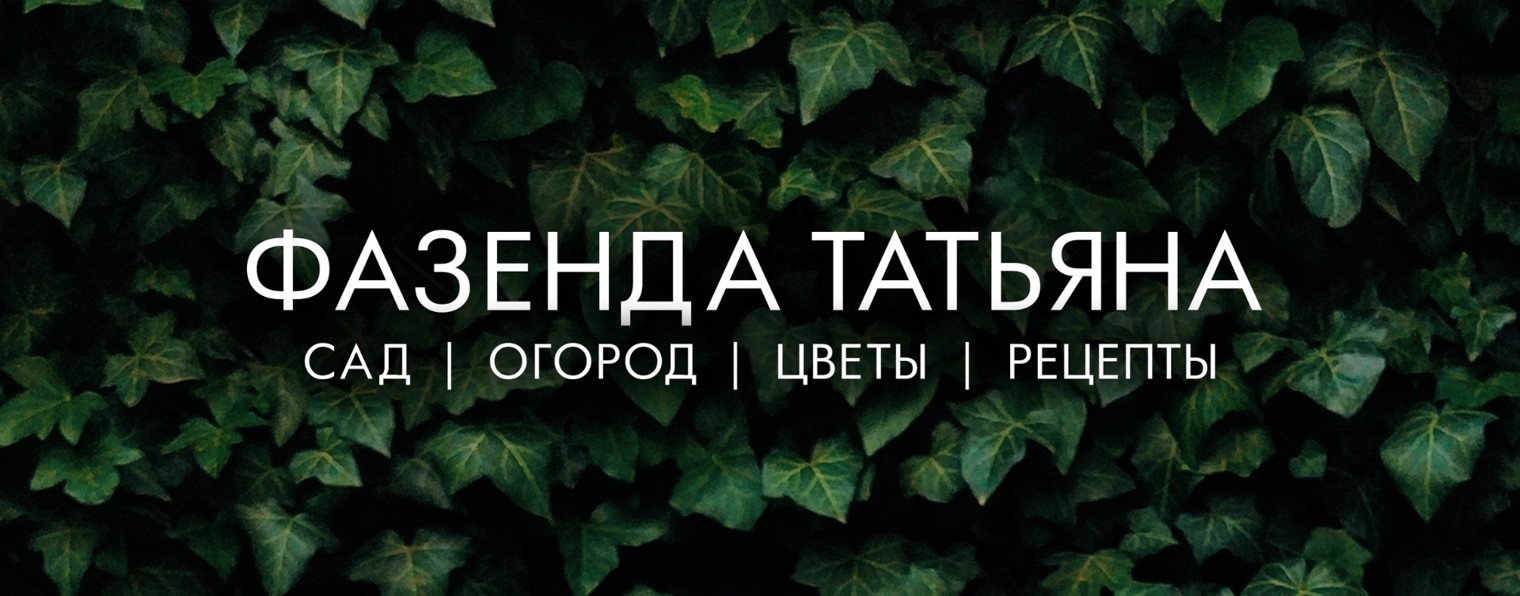 Фазенда Татьяна