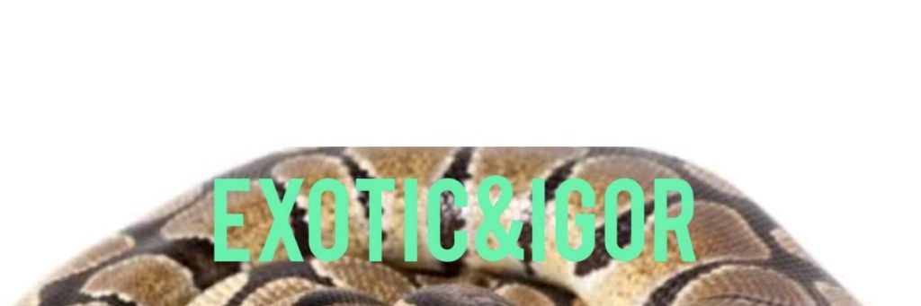 Exotic&Igor