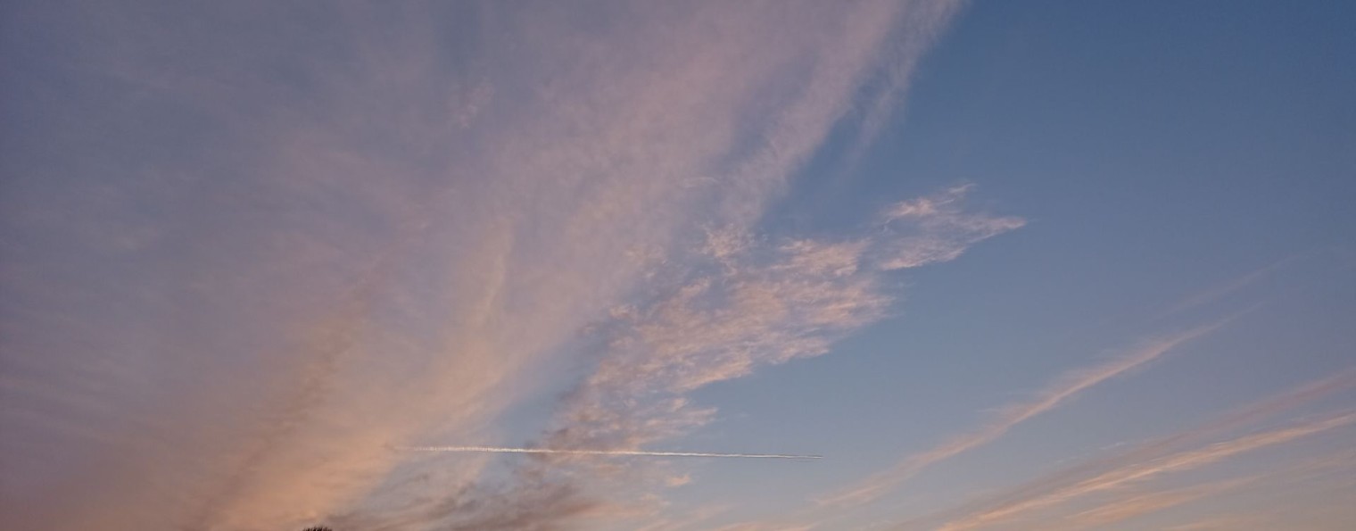 Юлькина мудрость