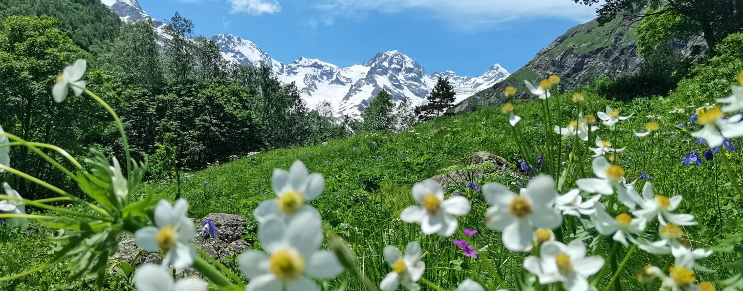 Неля Хмарина