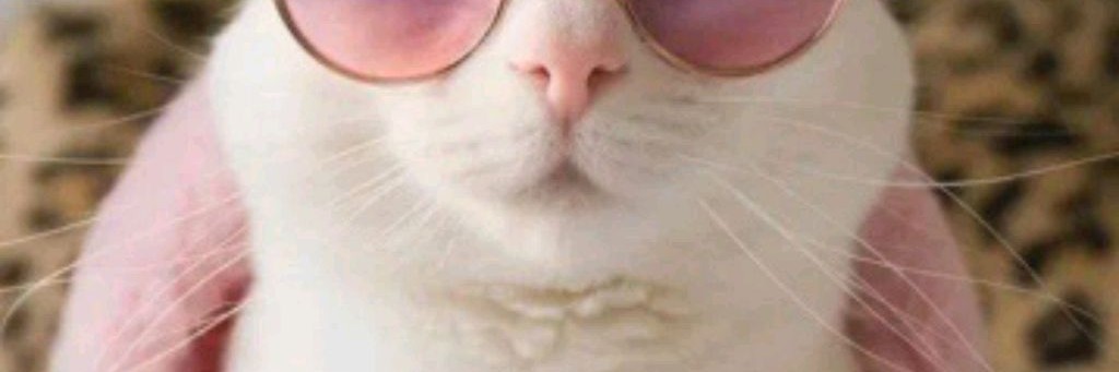 Сониклайкит