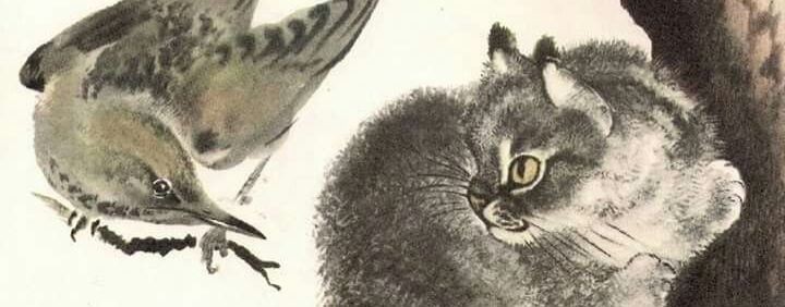 Алёнкин канал (творчество, самоделки)