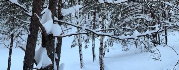 Поэзия Актера. Александр Пойлов
