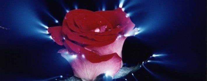 Ароматные травы