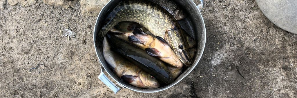 Рыбалим и Строим Вместе.