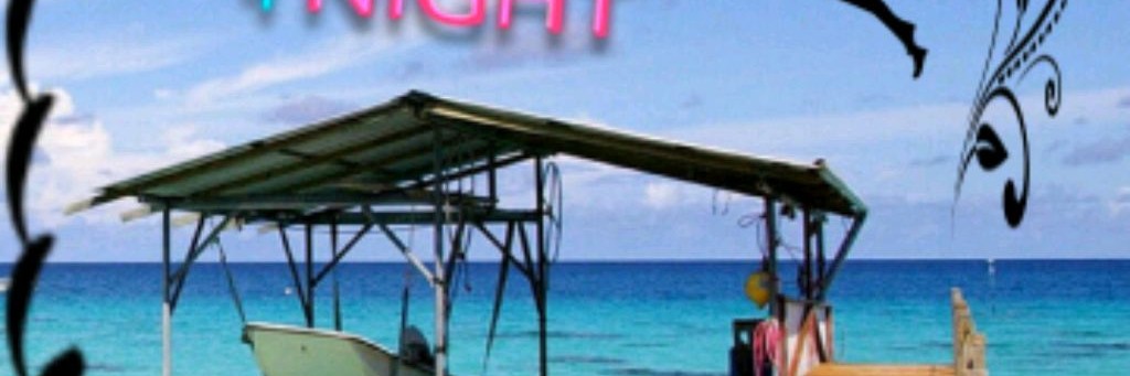 Котятки🖤🤍