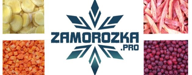 zamorozka.pro