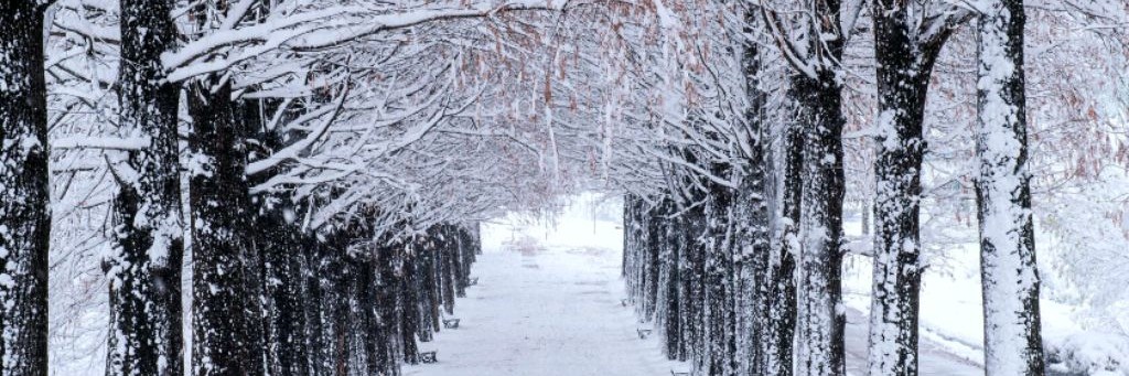 Дворовой Перезаливщик