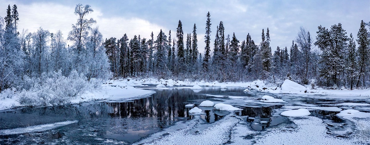 Евгений Бушков