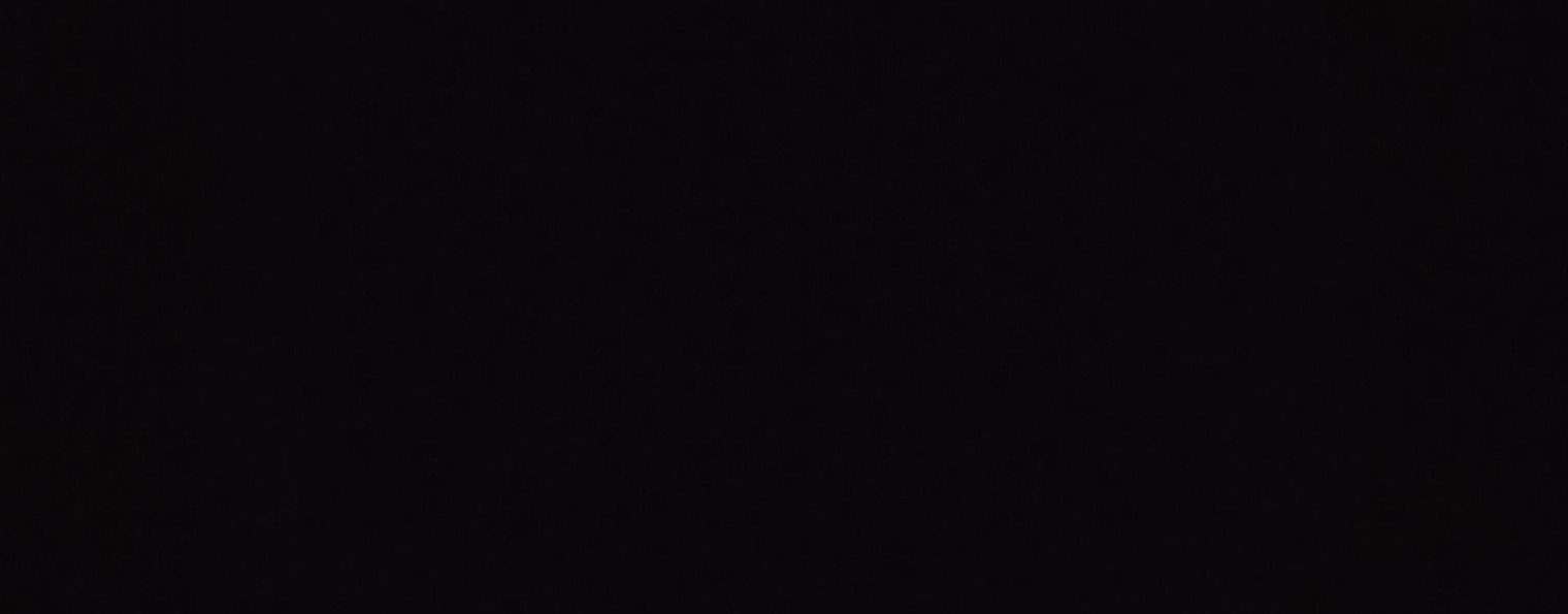 ⌆ 𝐍𝐮𝐭𝐬 𝐠𝐢𝐫𝐥 𝐥𝐢𝐤𝐞𝐬 𝐕𝐈𝐈𝐙𝐈 ✫