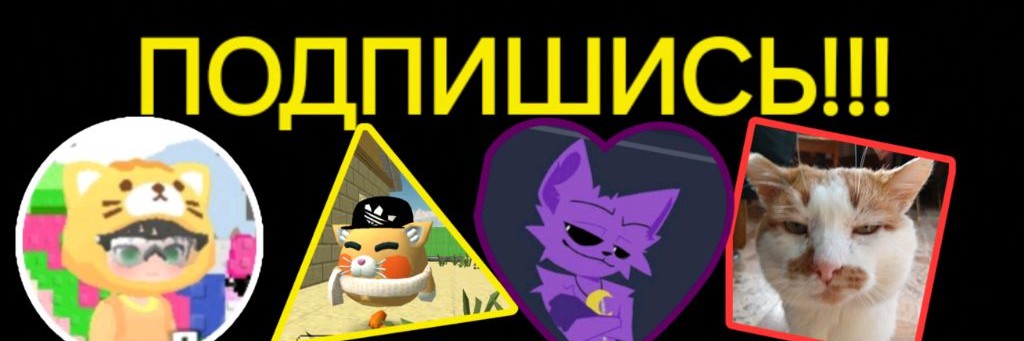 🏴🐱Котик Миша🐱🏳