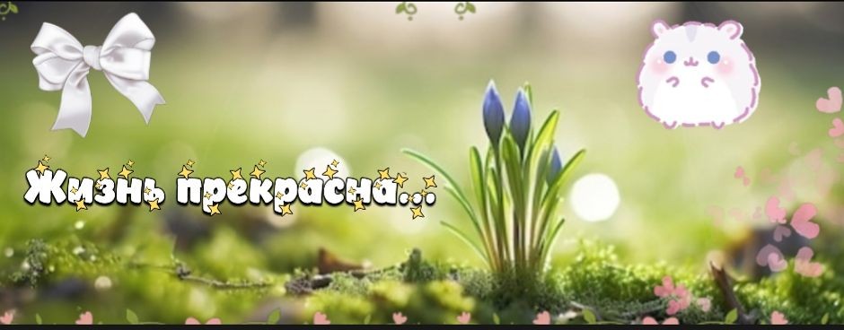 Синеглазка 𝑨𝒗𝒂𝒕𝒂𝒓 𝑾𝒐𝒓𝒍𝒅(◕ᴗ◕♡)