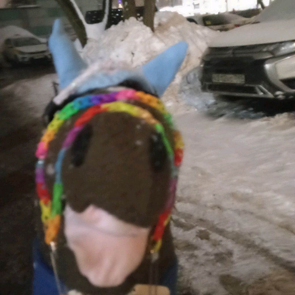 ХОБИХОРСИНГ