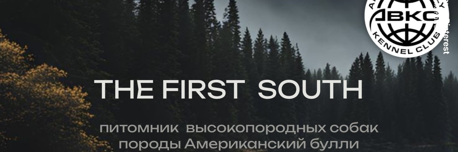 The First South bully kennel