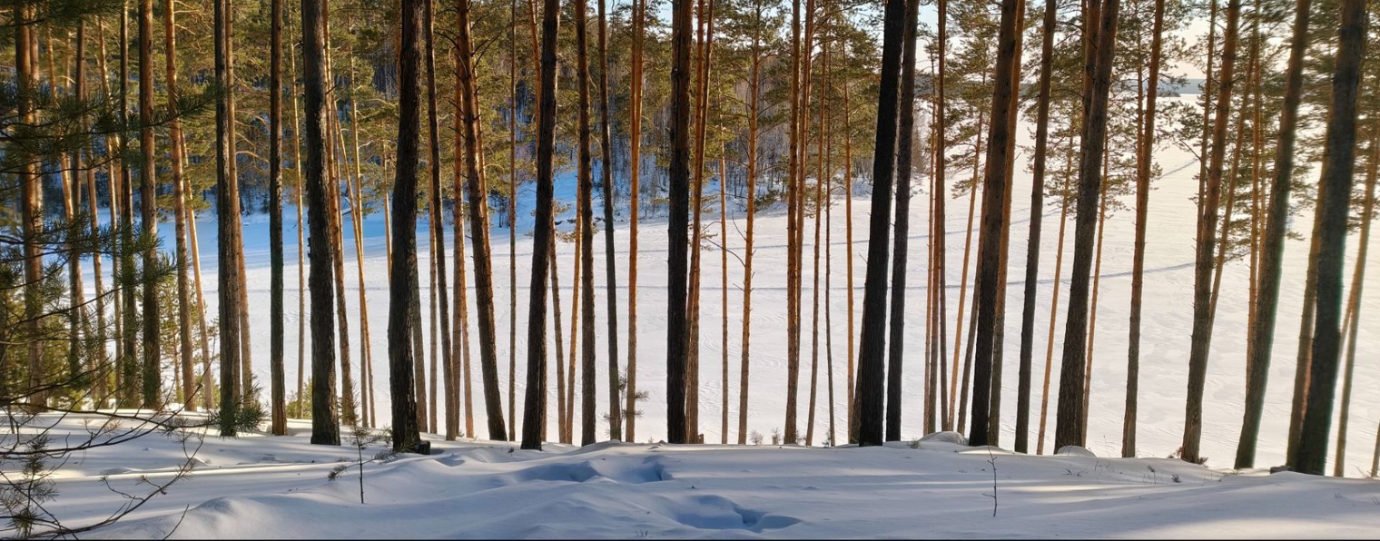 Ната vs Крайний Север