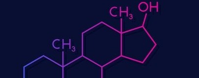 Гринго освобождённый