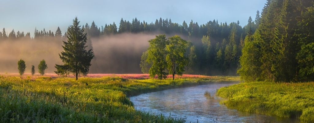 Вместе с Палычем
