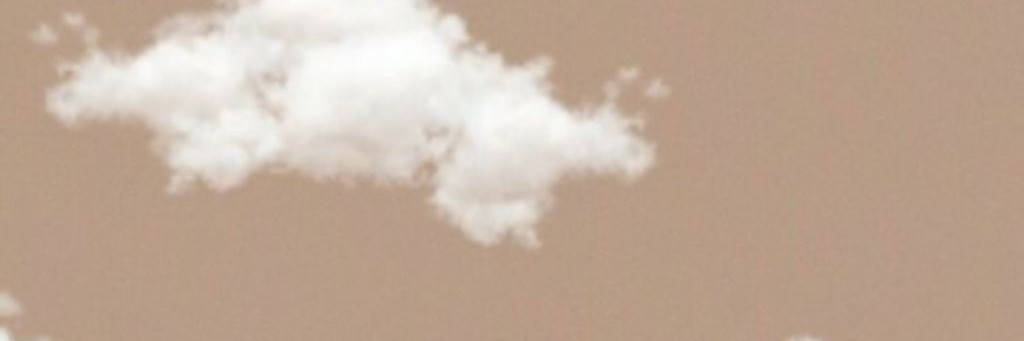 🎀Family kittens🎀