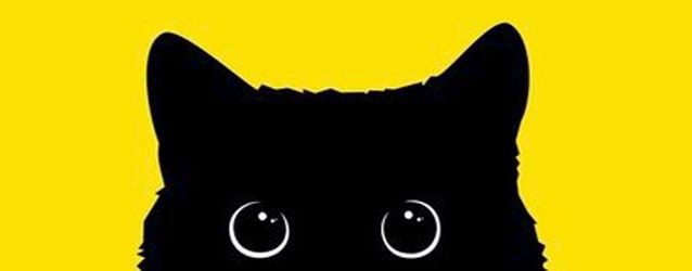 Дамир + Пушистик