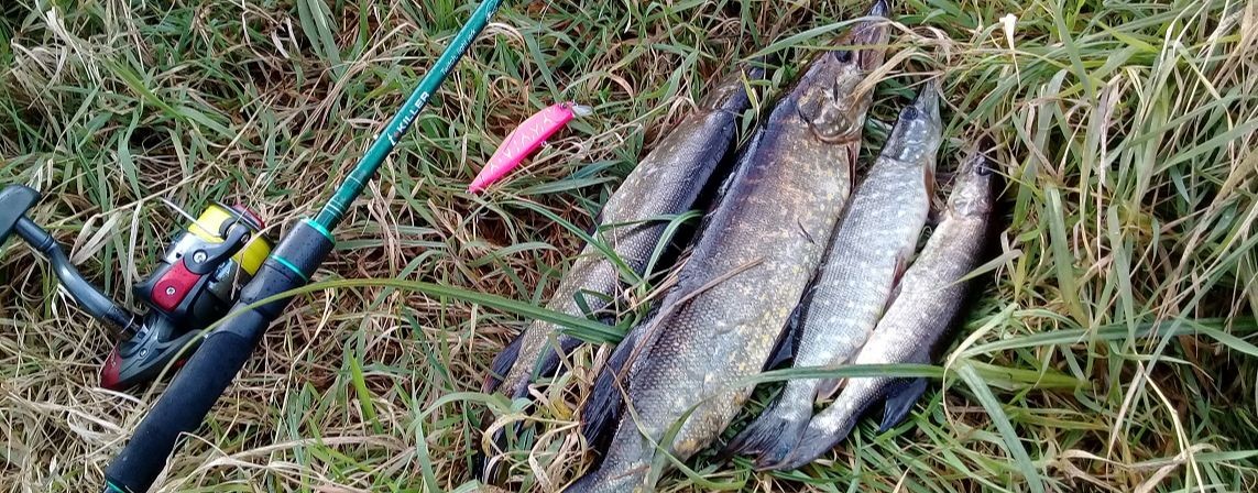 АЛЕКСАНДР ВСЁ О ХОББИ