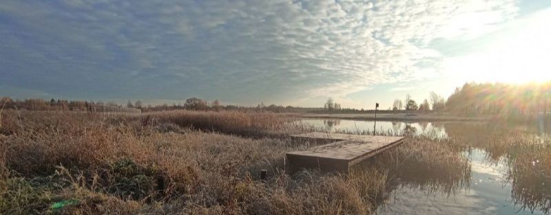 Главный специалист