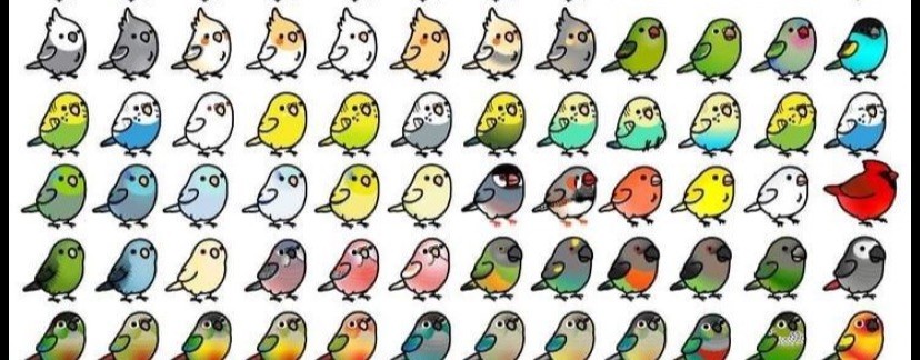 Мира та Мира