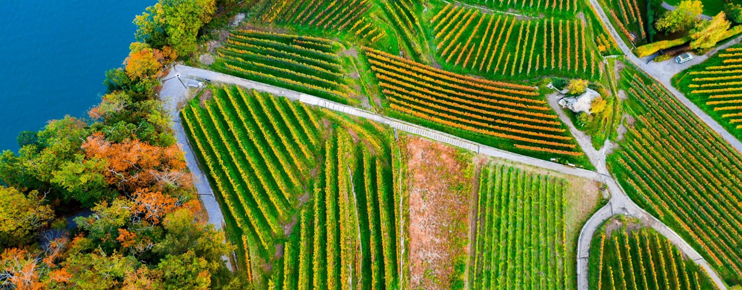 Прохождение разных игр