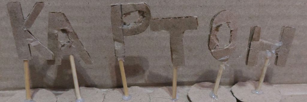 Платон картон