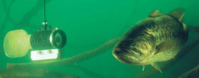 На рыбалку с камерой