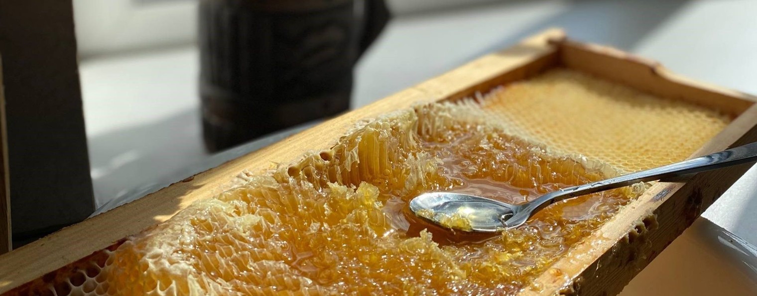 Услада Мёд. "Из жизни пчел"